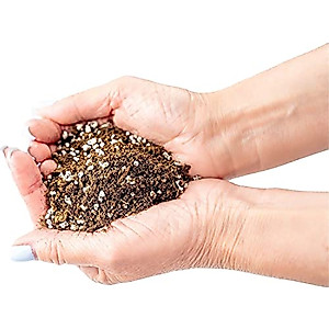 GARDENERA Premium Jade Plant Potting Soil Mix - (1 Quart Bag)