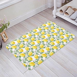 Front Door Mat Floor Mats for Home Decor, Lemons Memory Foam Runner Entryway Area Rug Non-Slip Absorbent Doormat Washable Rug, 18x30Inch Welcome Mats Carpet for Bedroom Decor Living Room Decor