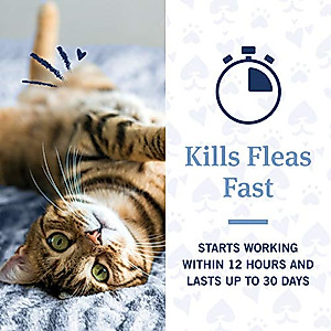 PetArmor Advanced 2 Flea Prevention for Large Cats, 6 Month Supply