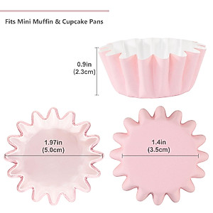 Caperci Grease-Resistant Pink Mini Cupcake Liners 200 Counts - Heavy Duty Paper Muffin Baking Cups, Odorless, No Muffin Pan Needed, Easily Peels (Pink)