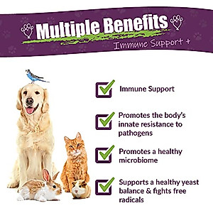 Amber NaturalZ - Vibactra Plus Immune Support Plus - an antioxidant enriched formula helps fight free radicals, supports healthy yeast balance, maintains healthy gut flora, supports upper respiratory health and oral health - 4 Oz