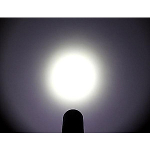 Terminator Stun Gun Ultra Powerful Flashlight Stun Gun With Bright LED Flashlight Heavy Duty Rechargeable