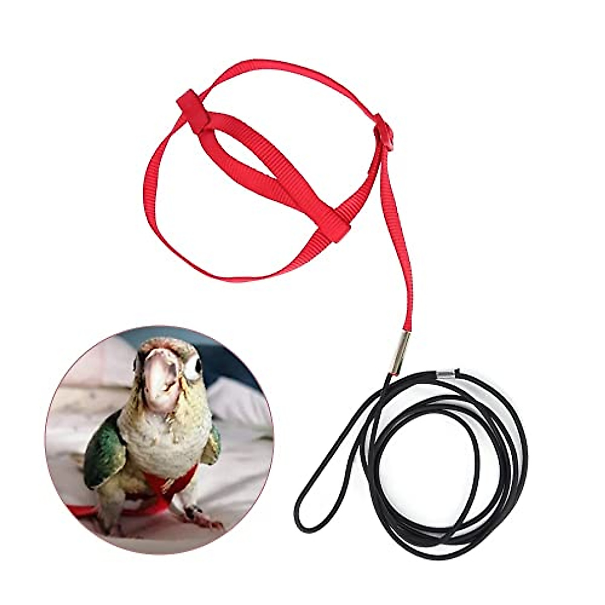 Bird Harness Leash, Parrot Training Harness Cockatiel Traction Rope for Parakeets, Macaws, Parrots, Love Birds