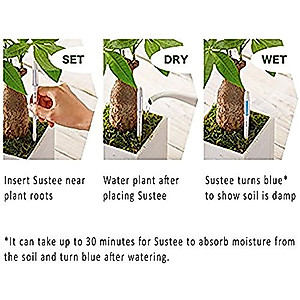 Sustee Aquameter (Small Green Refillable - Bundle of 2) - House Plant Soil Moisture Meter, Humidity Sensor Probe, Water Level Indicator - Best for Indoor Potted Plants