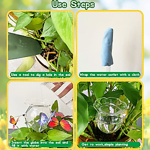 Haawooky Self Watering Globes,Clear Glass Plant Water Bulbs,Hand Blown Automatic Plant Waterer Device for Indoor Outdoor Plants,3 Pack