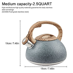 Whistling Tea Kettle Stainless Steel Teapot, Teakettle for Stovetop Induction Stove Top, Fast Boiling Heat Water Tea Pot 2.2 Quart(Gray)