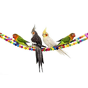 VolksRose Bird Swing Toys 10 Packs, Parrot Hammock Bell Toys Parrot Cage Toy Bird Perch with Wood Beads Hanging for Small Parakeets, Cockatiels, Conures, Budgie, Macaws, Parrots, Mynah, Love Birds