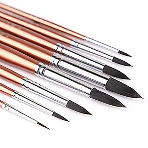 Transon Round Paint Brush Set with Brush Desk Organizer