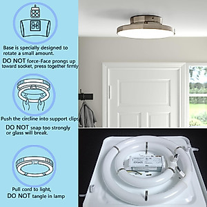 Circular Light Bulbs Set FC12T9-DL and FC8T9-DL Daylight Fluorescent Lamp,Circline 6500K 12inch T9 32Watts and 8inch 22Watts Replacement for Ceiling Light,12,000hrs Long Lifespans