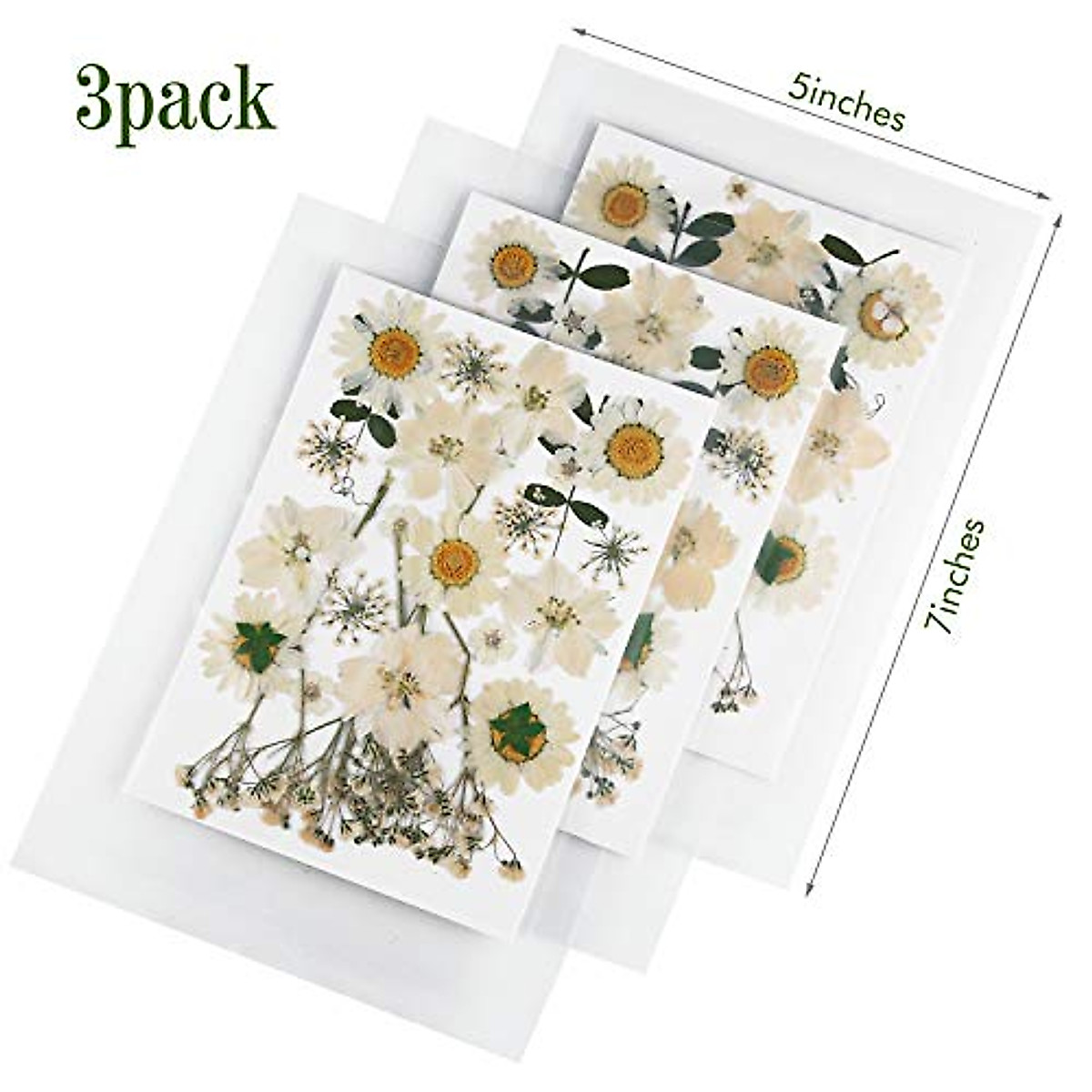 Nuanchu 81 Pcs White Dried Flowers Dried Pressed Flowers Leaves Natural Pressed Flowers White Pressed Flowers Larkspur Gypsophila for Resin Jewelry Scrapbooking Art Floral Decorations (White)