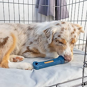Kradle All Day Calming Bone for Gentle Chewers, 6 Inch Rubber, Refillable Occupying Bone for Dogs (4 Refills), Relief for Separation, Thunder, Car Rides, & Stress with BotaniTek Formula, Bacon Flavor