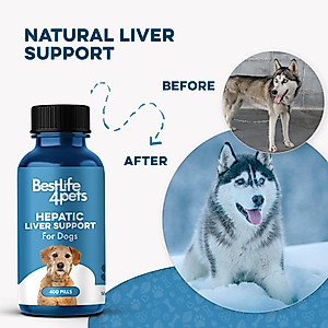 Hepatic Liver Support for Dogs - Dissolvable Homeopathic Liver and Digestive Canine Supplement for Liver Detox and Nutrient Absorption - 100% All Natural - Easy to Give, Free of Chemicals or Additives
