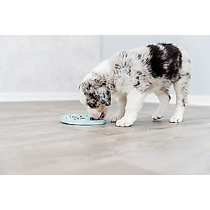 TRIXIE Junior Licking Mat, Pet Slow Feeder, for Dogs and Cats, Mint