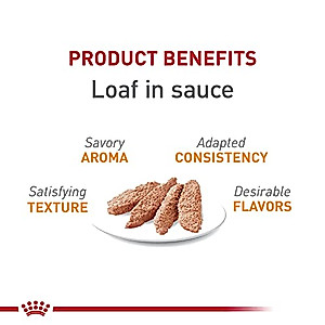 Royal Canin Feline Care Nutrition Hair & Skin Care Loaf in Sauce Canned Cat Food, 3 oz can (24-count)