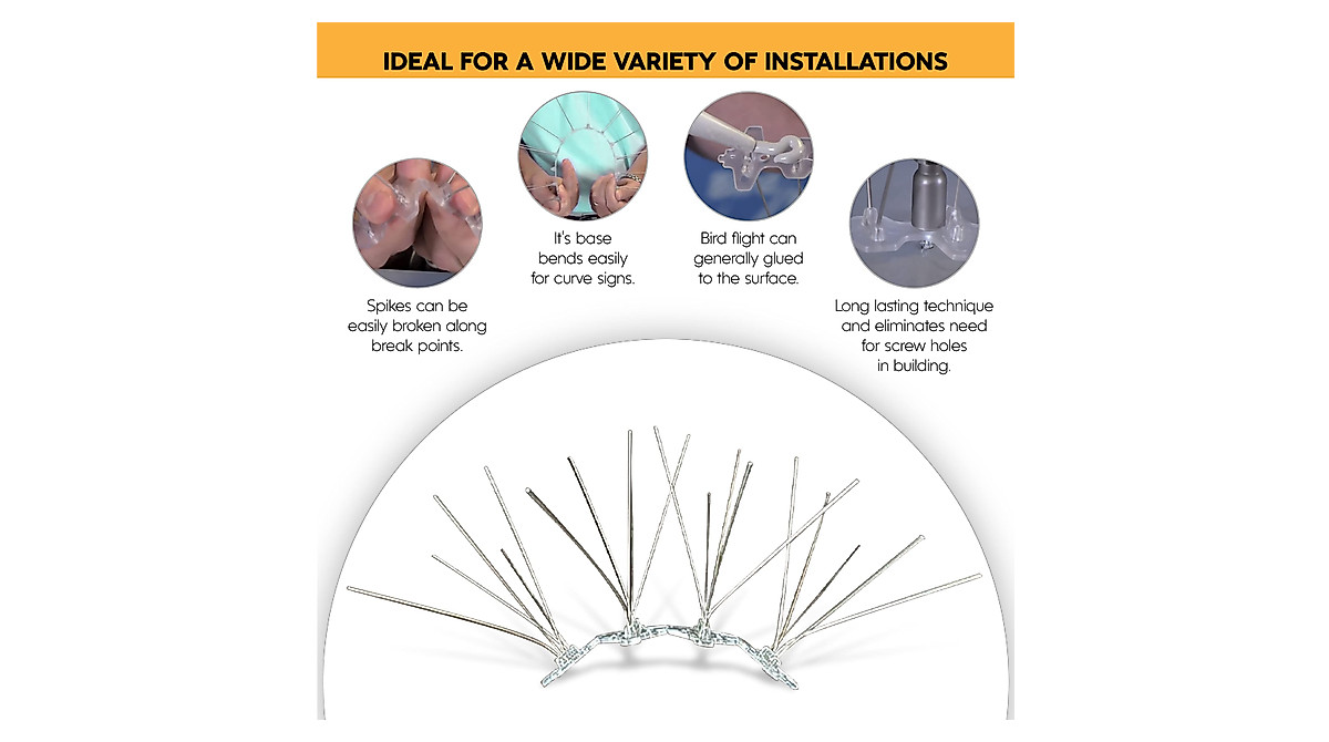 Pestless Bird Spikes: Humane Deterrent Solution