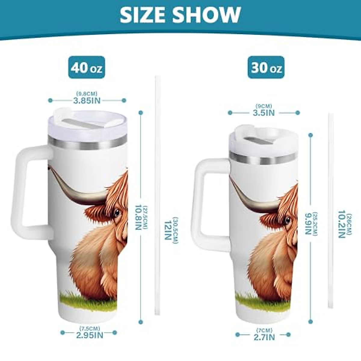 RPLIFE Cute Highland Cow Coffee Tumbler, Stainless Steel Bottle, Insulated Coffee Cups with Lids, Tumbler for Men