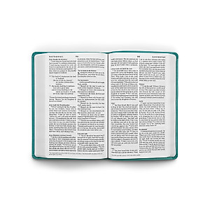 ESV Large Print Value Thinline Bible (TruTone, Turquoise, Emblem Design)