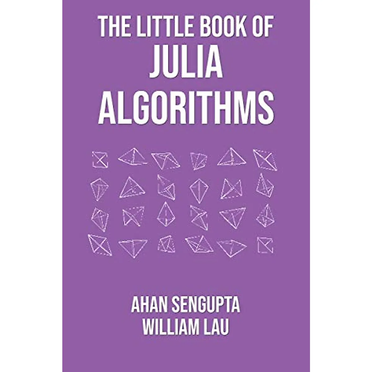 The Little Book of Julia Algorithms: A workbook to develop fluency in Julia programming