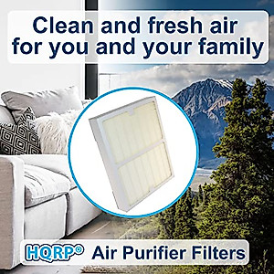 HQRP 2-Pack HEPA Filter Compatible with Idylis AC-2119, AC2119, 2119, 561212, Replacement for 0302648 302648 412564