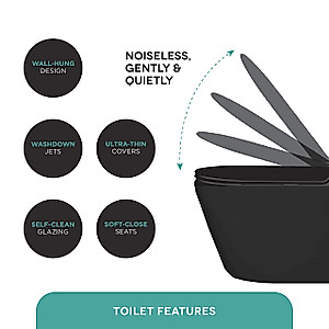 Fine Fixtures Dakota Wall Hung Toilet With Rimless Flush - Black