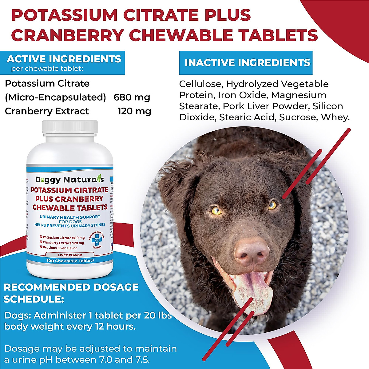 Potassium Citrate Plus Cranberry Supplement for Dogs (100 Tablets) - Urinary Tract Support-Helps Deter Formation of Calcium Oxalate Stones - Deters Bladder & Kidney Stones (Made in U.S.A)