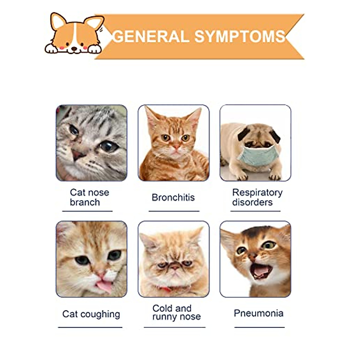 YHWD Pet Dog Cat Oxygen ICU Cage, 100L Puppy Incubator, PET Brooder Nursery, Puppy Nncubator for Cough Breathing Treatment Nebulization Box （Contains only Box）