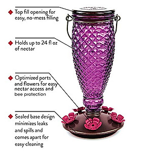 Perky-Pet 9102-1SR Purple Diamond Wine Top Fill Glass Hummingbird Feeder with Built-in Bee Guards - Outdoor Garden Décor - 24 Oz