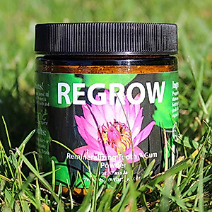 REGROW Remineralizing Tooth Powder - Whiter Teeth Naturally - Cleans, Heals, Protects & Stop Sensitive Teeth and Gums - All Natural - 4oz Glass Jar