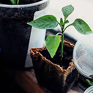 2BFFS.COM Seedling Tray- Germination Kit-Organic Biodegradable Pea Pots Starter Kit, 10PK Peat Pots Seed Starter Trays, 120 Cells. Organic Plant Starter Kit with 12 Plant Labels