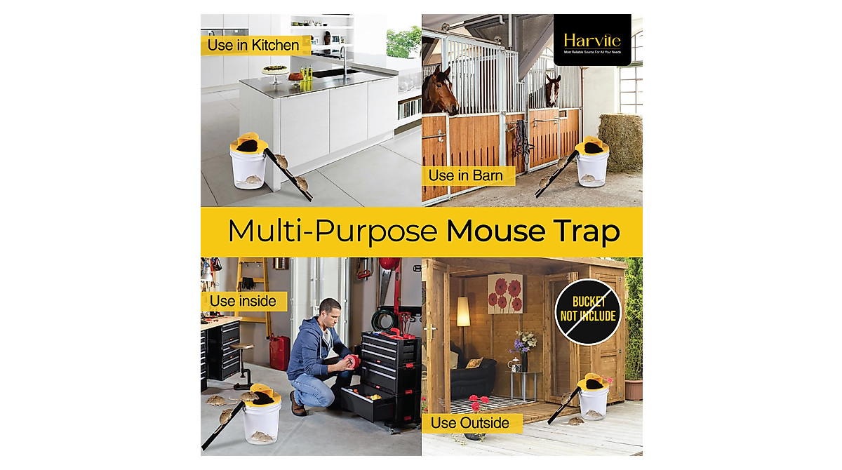 Second Generation, Flip n Slide Bucket Lid Mouse Trap - Indoor Outdoor ...