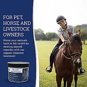 ROYAL RACQUEL (10 oz Organic Wound Care Paste for Horses, Dogs, Cats. Wound Care for Pet Healing, Quick Acting Formula for Relief from Scratches, Mud Fever, Girth Rot, Proud Flesh, and Summer Sores