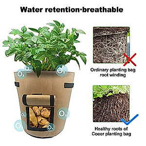 Nicheo 3 Pcs 6.5 Gallon Grow Bag Easy to Harvest Planter Pot with Flap and Handles Garden Planting Grow Bags for Potato Tomato and Other Vegetables Breathable Nonwoven Fabric Cloth
