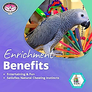 Super Bird Creations SB702 Peacock Sr. Bird Toy, Large Bird Size, 14” x 11” x 1.5”