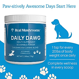 Daily Dawg Mushroom Extract Powder Support - (2.65 oz) Bulk Mushroom Powder Supplement & Dog Vitamins with Real Mushrooms Lion's Mane, Cordyceps Mushroom, Turkey Tail, Reishi & Shiitake