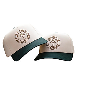 Visibly Toxic Funny Hat, Adjustable Snapback, Unisex Hat, Hats for Men, Hats for Women, Stylish Hat, Party Hat, Trucker Hats Women, Trucker Hats Men, Baseball Cap, Beach Hat, Trendy Hat Tan, Brown