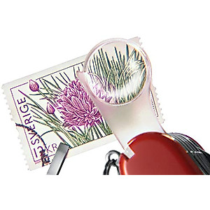 VICTORINOX 1.6791.63 Swiss Champ Wood, Swiss Army Knife, Multi-functional Knife, Disaster Preparedness Goods, Outdoor, Camping, Pliers, Scissors, Magnifying Glass, 33 Functions, Swiss Multi-Tool,