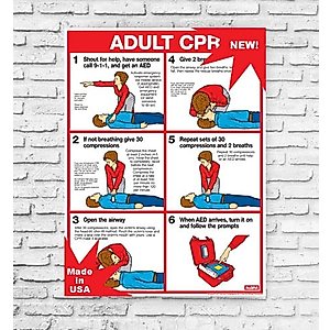 CPR for Adults 18" X 24" Laminated Poster - 2011