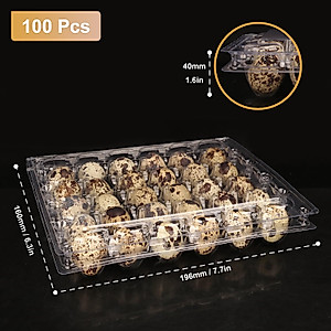 100 Pack Quail Egg Cartons, Clear Plastic Quail Egg Trays, Holds up to 30 Quail Eggs Securely - Your Ultimate Small Eggs Carton Holders for Bulk Storage and Display by KUKLIPJIM