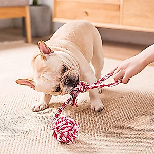 HAICHEN TEC 6 Pack Ferret Rope Chew Toys Durable Knotted Rope Tug Perfect for Teething Mammals, Cotton Rope Toys Interactive Dog Rope Toy Set Machine-Washable (6 Pack)