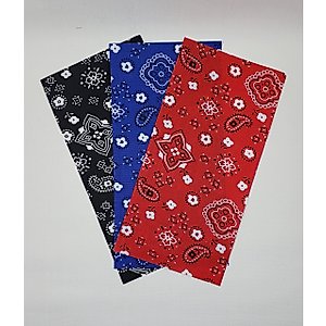 Inside-Out Bandana Set Iron On Patches