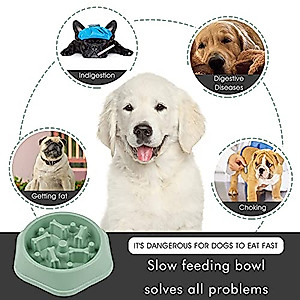 DPOEGTS Slow Feeder Dog Bowl, Puzzle Dog Food Bowl Anti-Gulping Interactive Dog Bowl and Water Dog Bowl for Small/Medium Sized Dogs (Green, Bone)