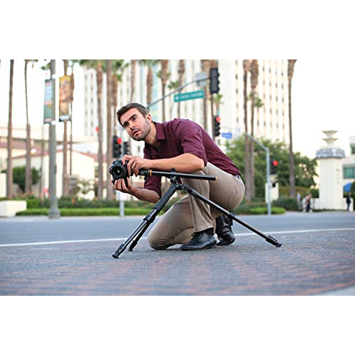 Vanguard Alta Pro 2+ 263AB 100 Aluminum Tripod with Alta BH-100 Ball Head and Multi-Angle Center Column for Sony, Nikon, Canon DSLR Cameras