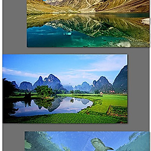 Zomei 55mm CIR-PL Circular Polarizing CPL Filter for Canon Nikon Sony Pentax Fujifilm Olympus DSLR Camera Lens