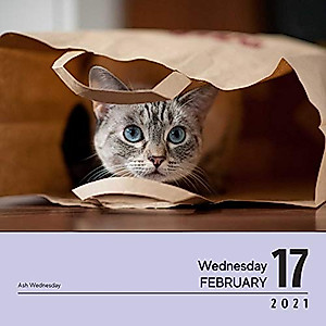Cats 2021 Day-to-Day Calendar