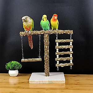Bird Tabletop Training Perch Play Stand, Portable Parrot Swing Toys Wood Bird Cage Toys, Bird Perches Standing Sticks Exercise Gym Playground for Parakeets Cocktails Conures Lovebirds (T-B)
