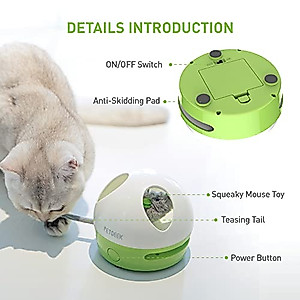 PETGEEK Interactive Cat Toy, Hide Mouse Cat Toy with Squeaky Mouse, Electronic Automatic Cat Toys with Catnip Filled Hidey Mouse, Cat Toys Interactive for Indoor Cats Exercise & Game