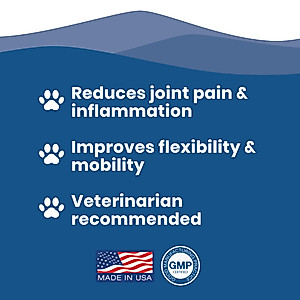 Paramount Pet Health All Natural Concentrated Glucosamine for Large Dogs - 5200mg Glucosamine Chondroitin for Dogs - Dog Joint Supplement & Dog Glucosamine - Dog Hip and Joint Supplement