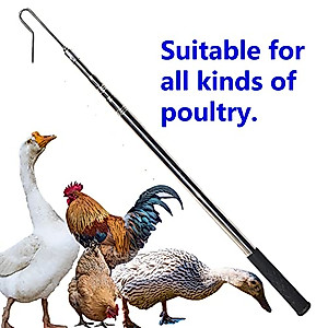 GLOBOTECH Extendable Chicken Catcher Leg Hook - Stainless Poultry Hook Fowl Catcher, 25" Extend to 59", Perfect Tool for Safe and Easy Handling of Fowl, Duck Catcher Instead of Bird Catching Net
