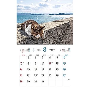 そとねこ (インプレスカレンダー2022)