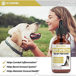 Natural Yeast Infection Treatment for Dogs | Helps to Support Itch & Inflammation Relief, & More | Dog Ear Infection Treatment | Dog Itch Relief | Dog Yeast Ear Infection Treatment | (Bacon) (2 Pack)